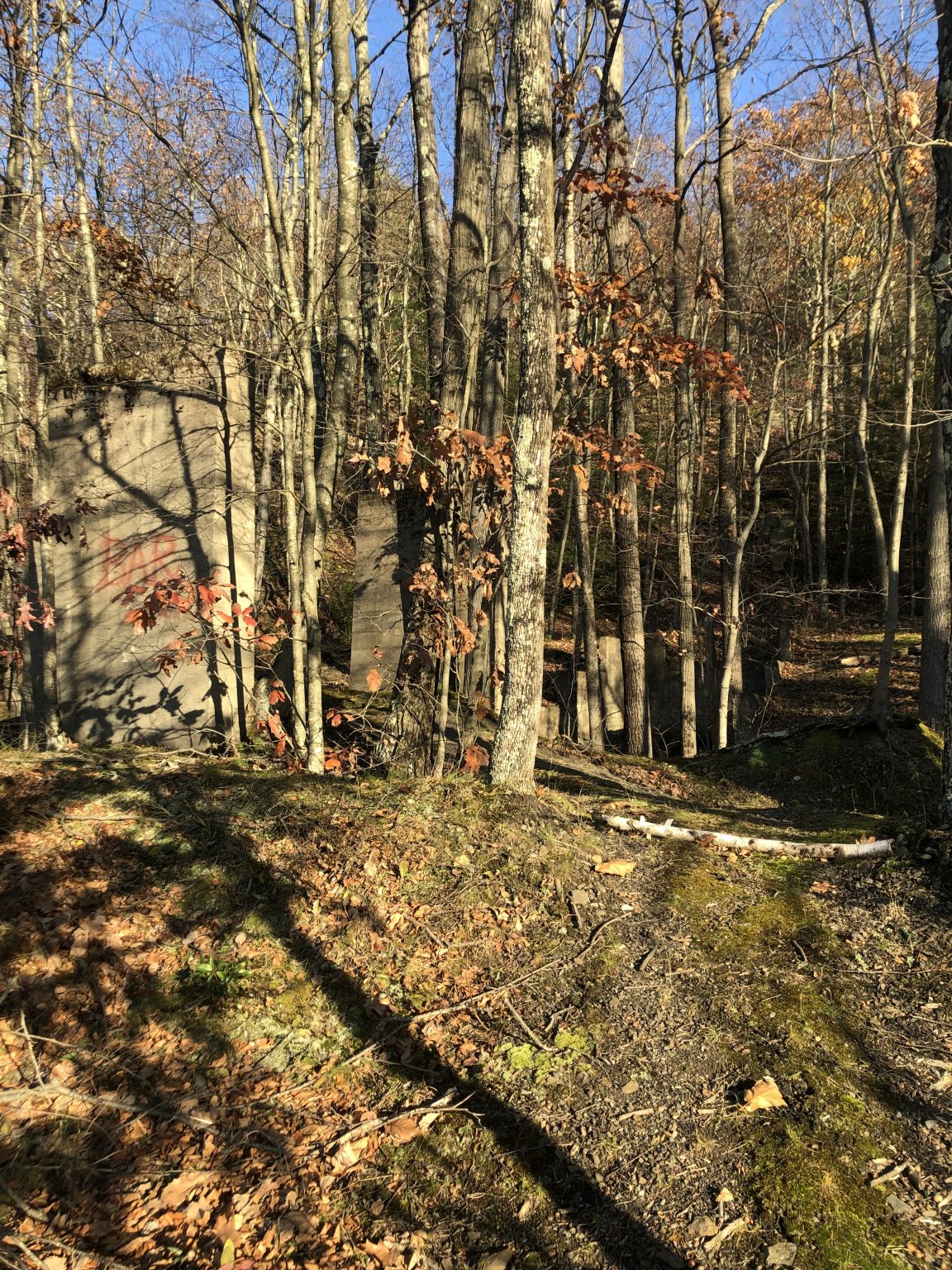 Hiking the SRT and Long Path to Huckleberry Ridge State Forest - Hiking ...