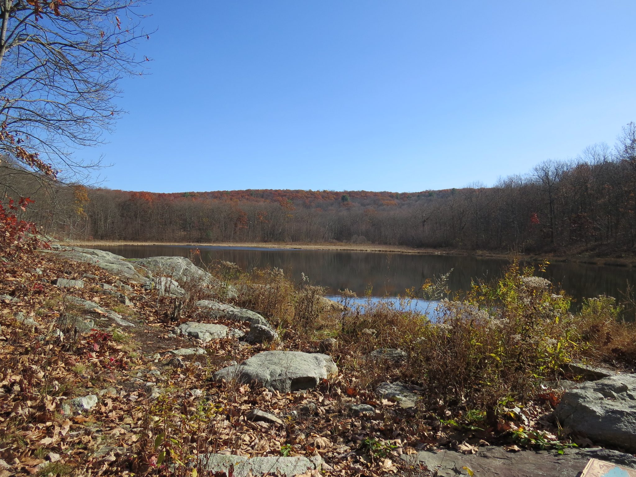 Hiking the SRT and Long Path to Huckleberry Ridge State Forest - Hiking ...
