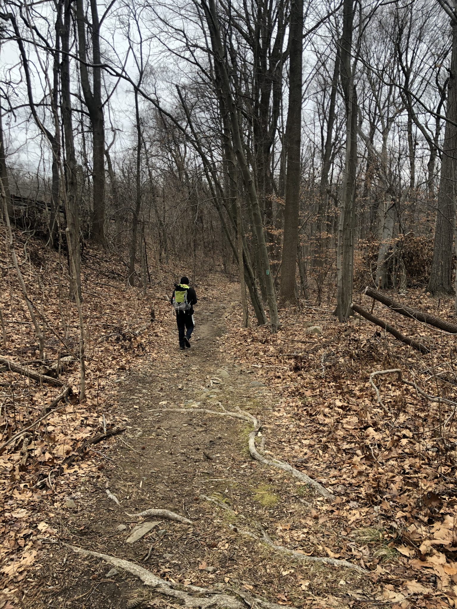 Hiking the Long Path Section 1 - Hiking & Biking Trails