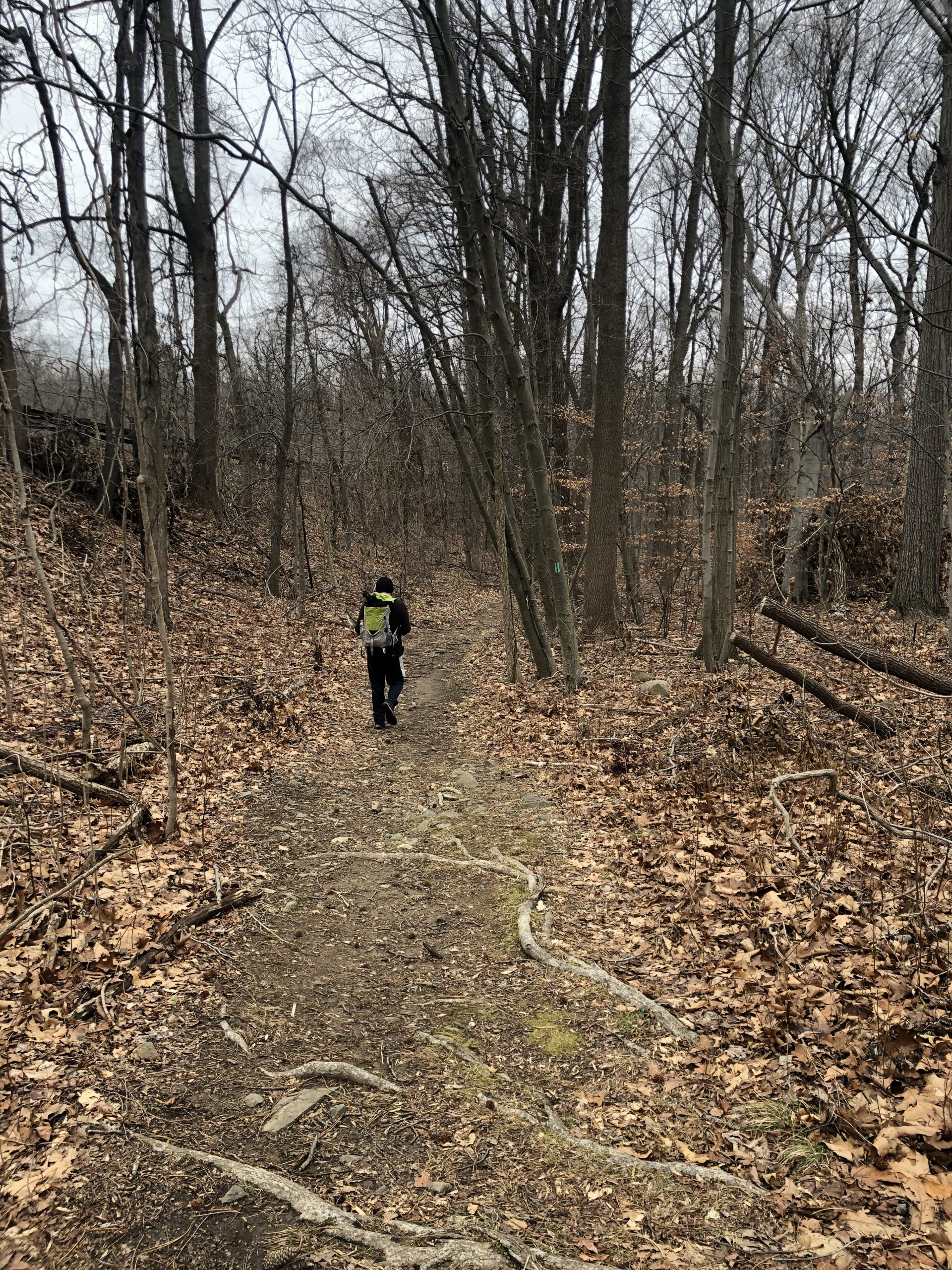 Hiking the Long Path Section 1 - Hiking & Biking Trails
