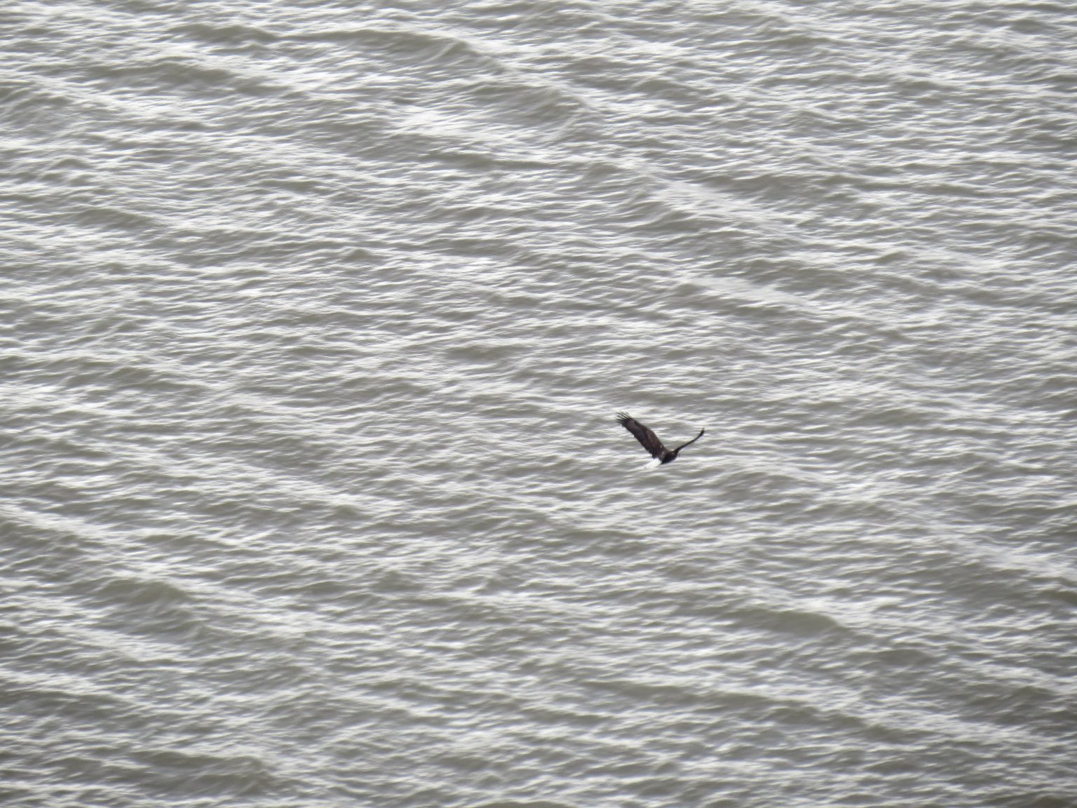 Hiking the Long Path Section 1 - Hiking & Biking Trails