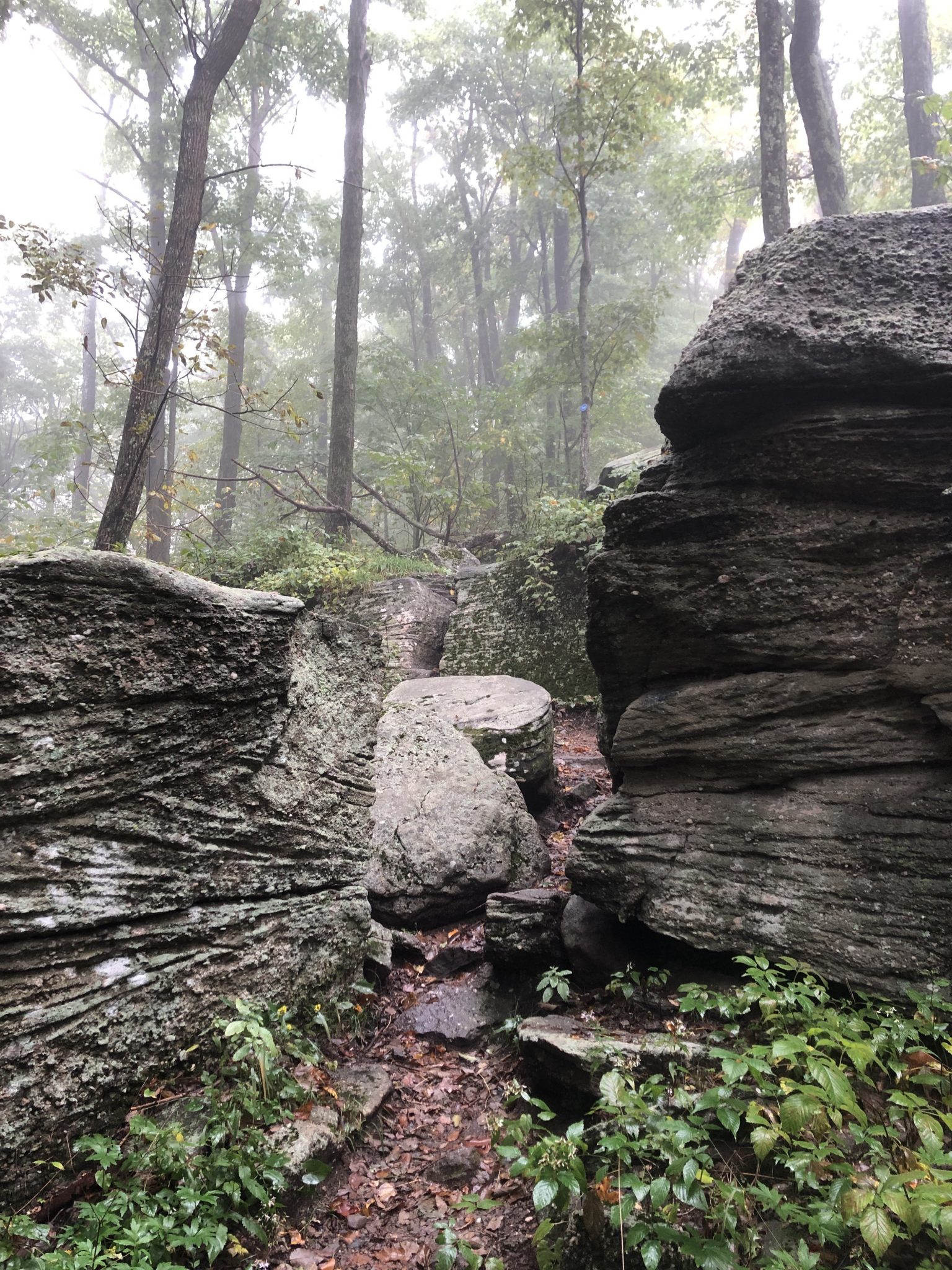 Hiking Long Path Section 17 - Hiking & Biking Trails