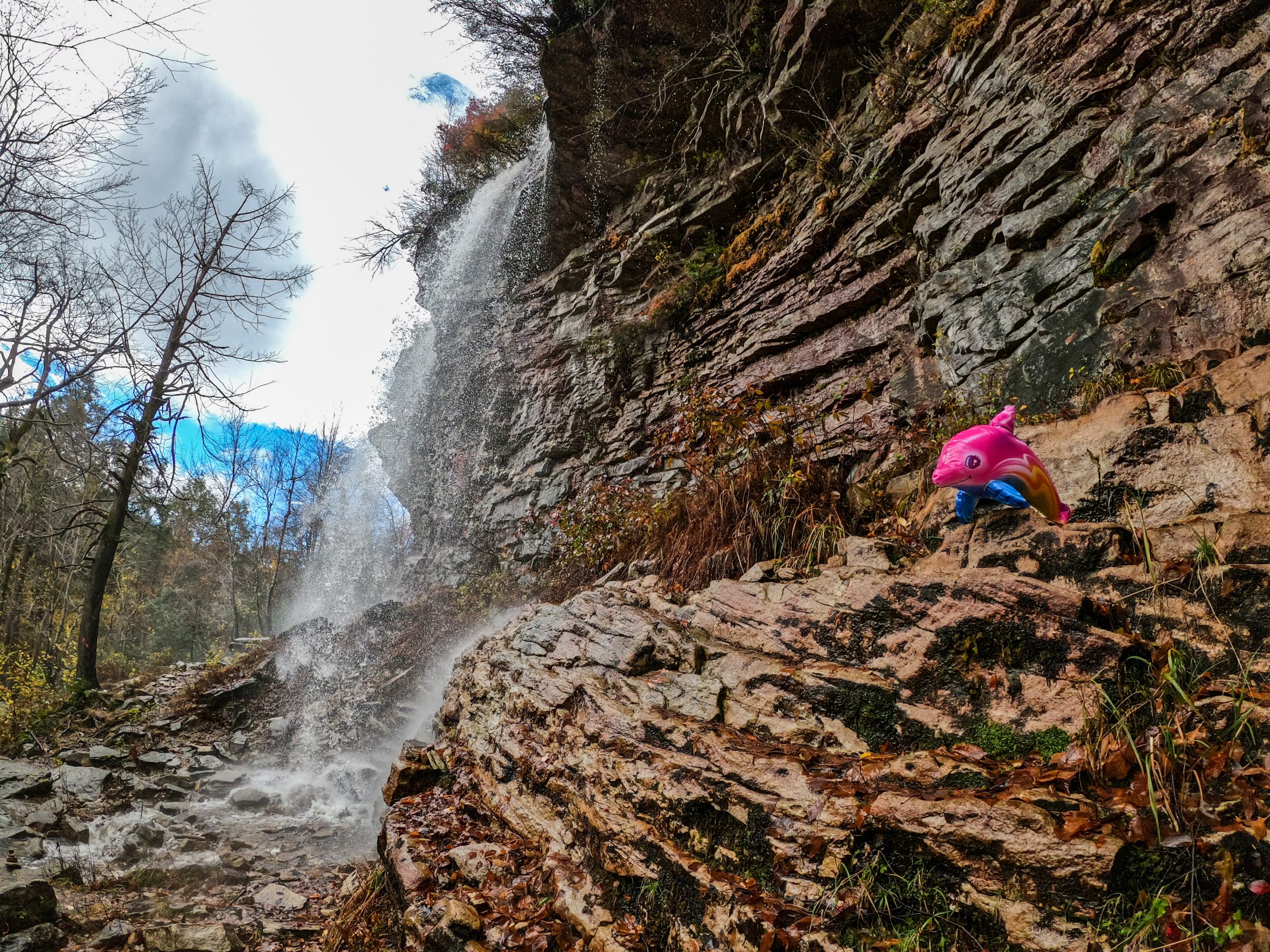 Hiking SRT trail to Rainbow Falls with Luna - Hiking & Biking Trails