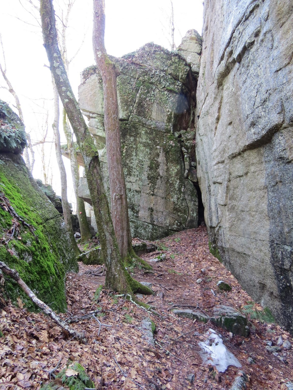 Shawangunk Ridge Forest from Cox Road - Hiking & Biking Trails