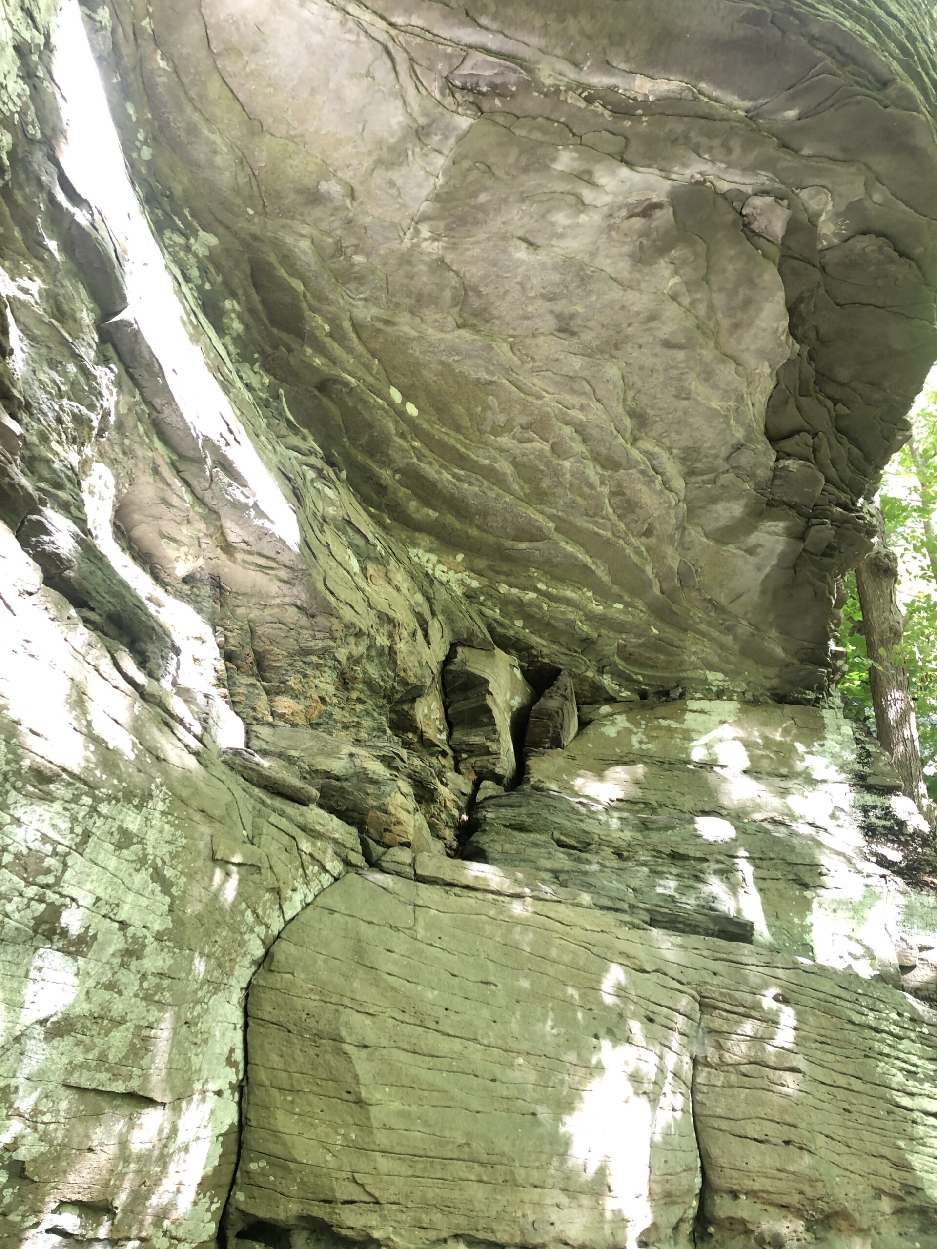 Hiking Mount Tremper Tower - Hiking & Biking Trails