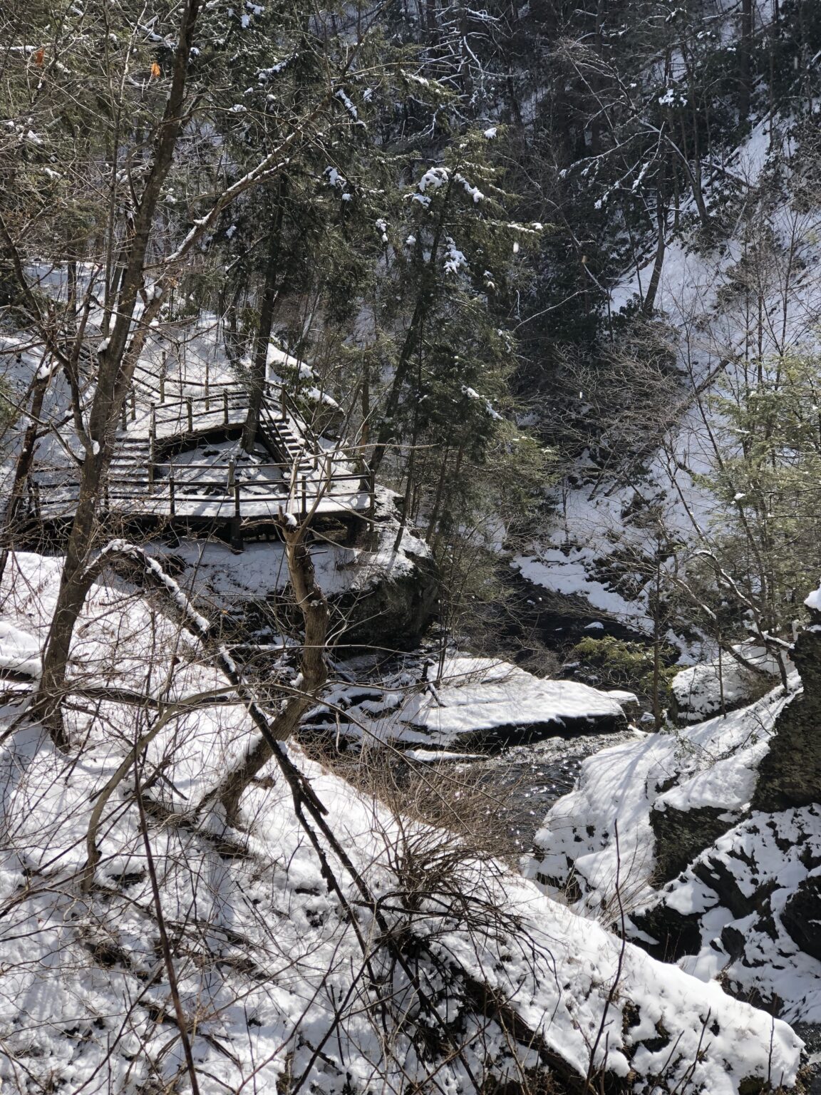 Hiking Hackers Falls and Cliff Trail Loop - Hiking & Biking Trails