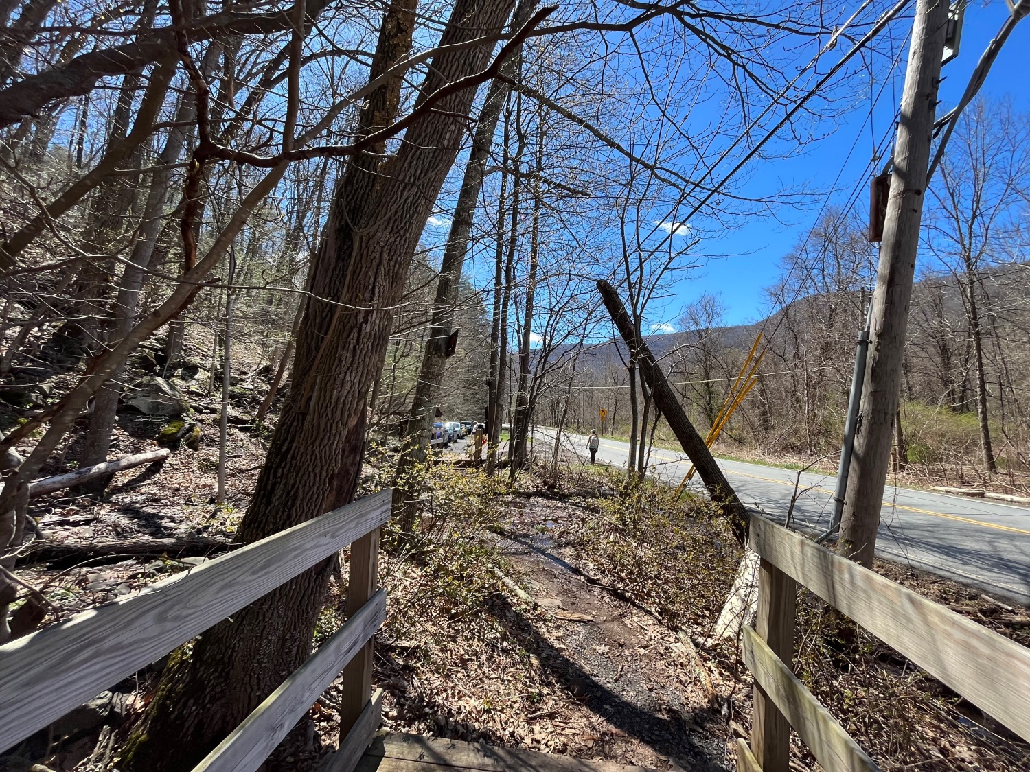 Mt. Tremper Fire Tower Hike - Spring 2024 - Hiking & Biking Trails