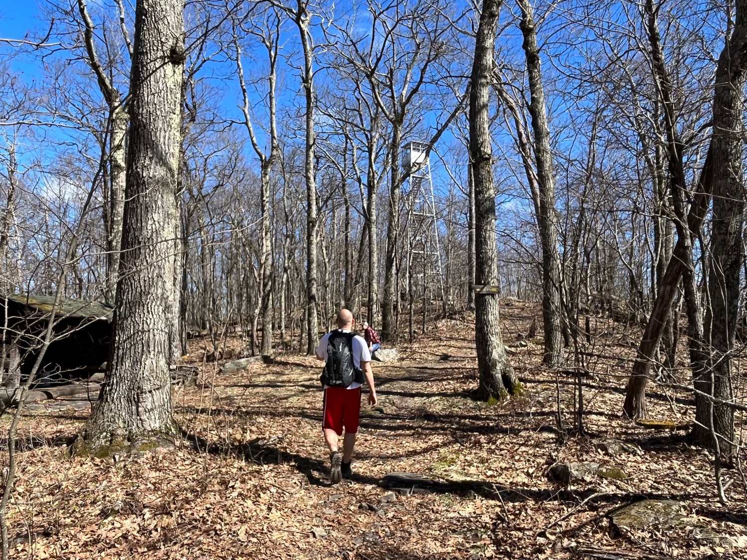 Mt. Tremper Fire Tower Hike - Spring 2024 - Hiking & Biking Trails