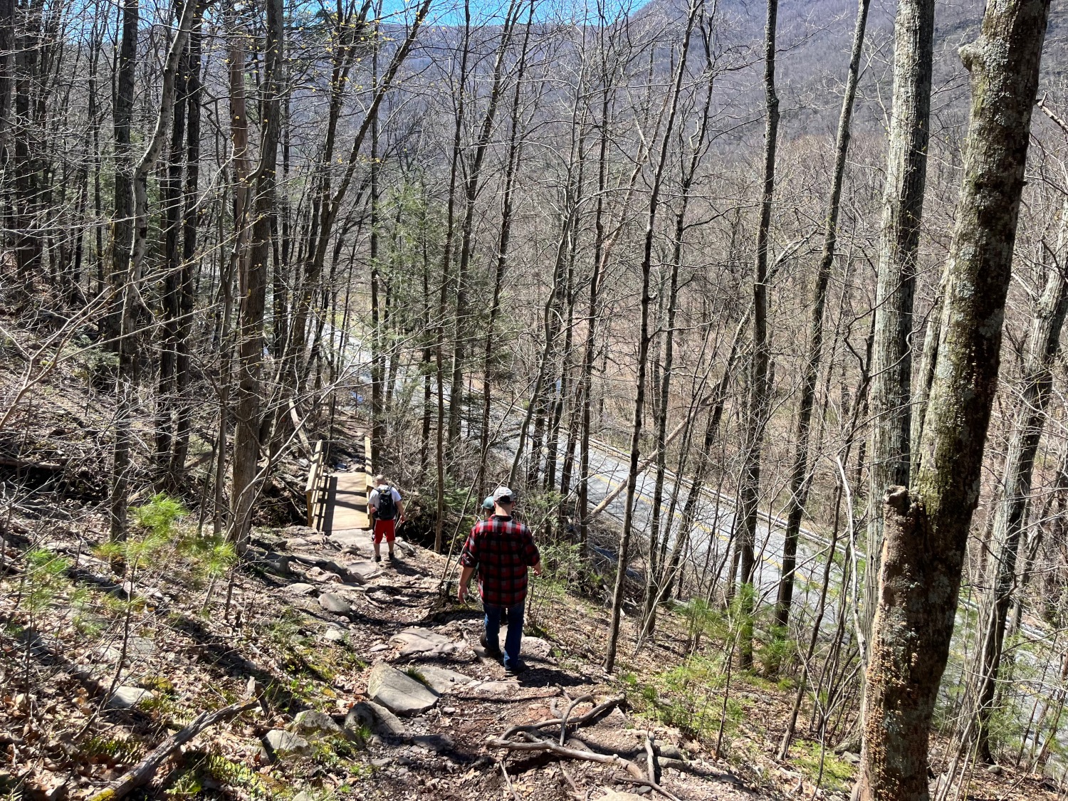 Mt. Tremper Fire Tower Hike - Spring 2024 - Hiking & Biking Trails