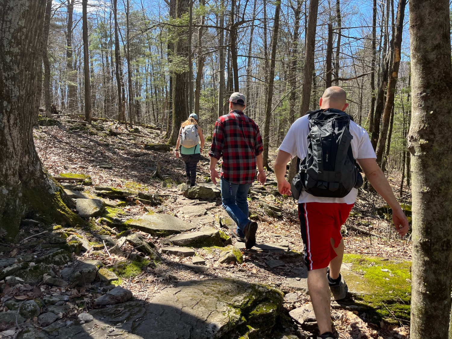 Mt. Tremper Fire Tower Hike - Spring 2024 - Hiking & Biking Trails